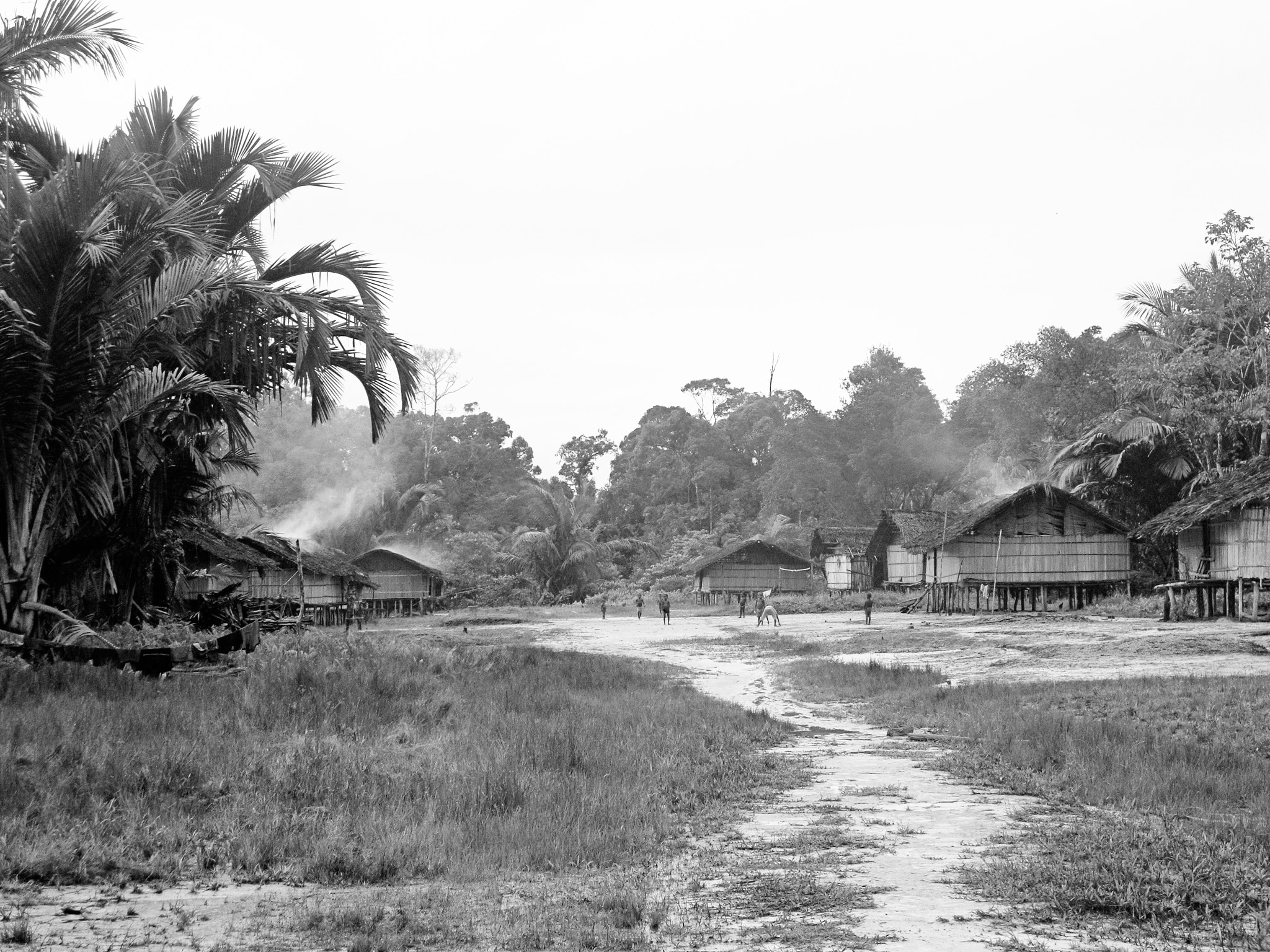 The Forgotten Tribe - Mission Aviation Fellowship